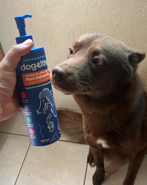 Dogelthy. Suplementos y Vitaminas para Perros.