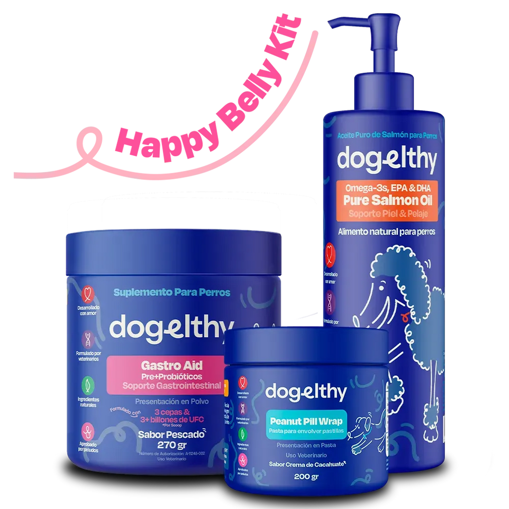 Kit digestivo con probióticos para perros | Dogelthy