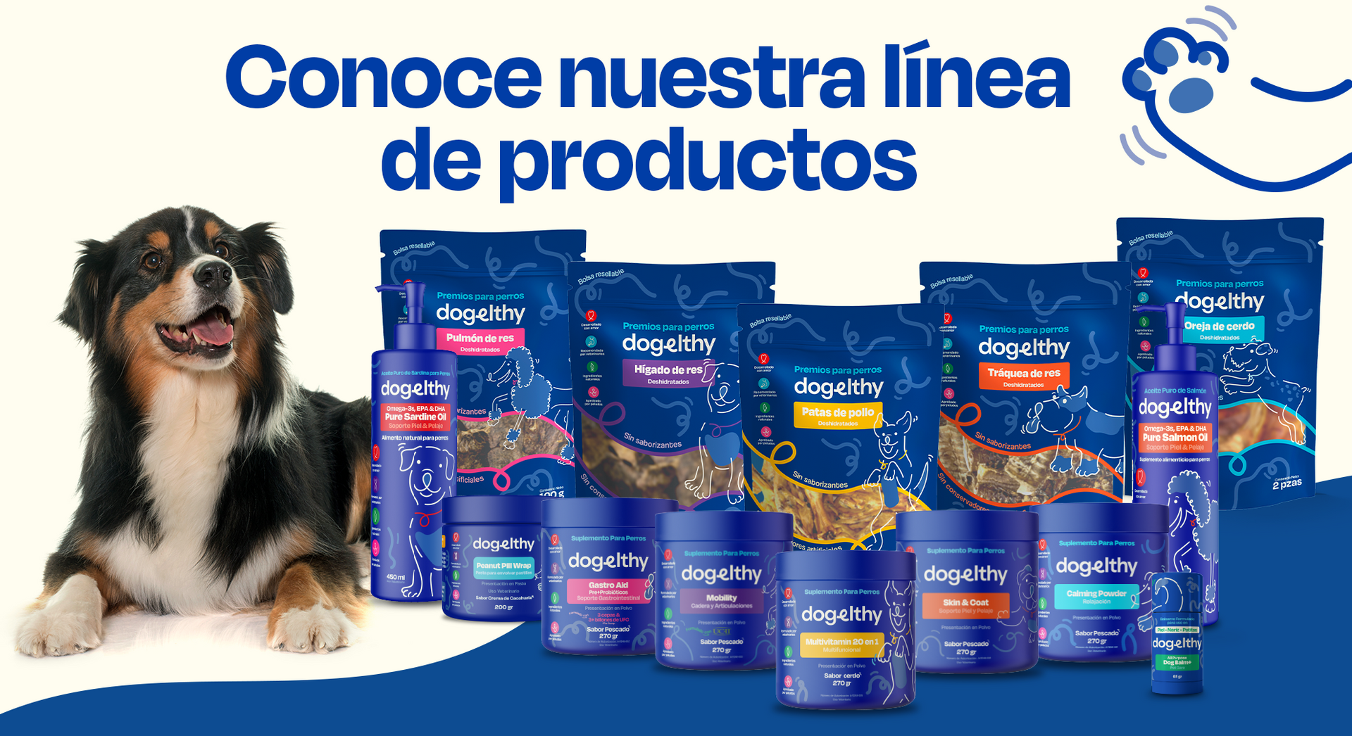 ¿Qué suero se le puede dar a un perro? Guía completa | Dogelthy