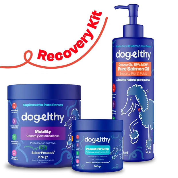 Kits Dogelthy para tu perro