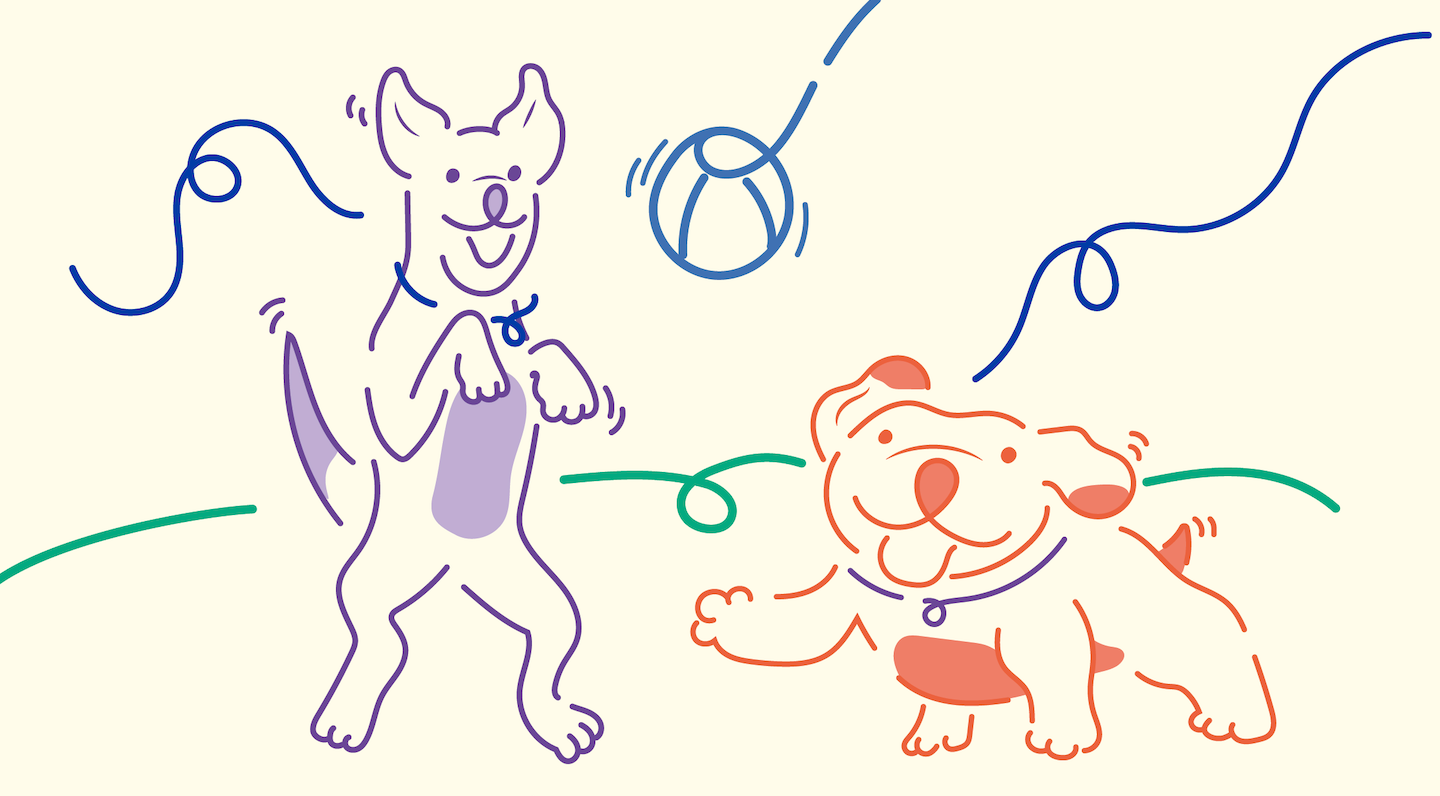 Dogelthy. Suplementos y Vitaminas para Perros.