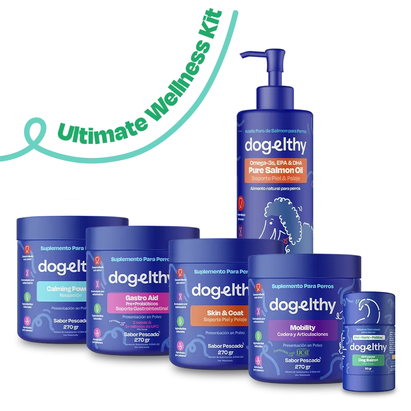 Mega Kit con suplementos naturales para Perros | Dogelthy