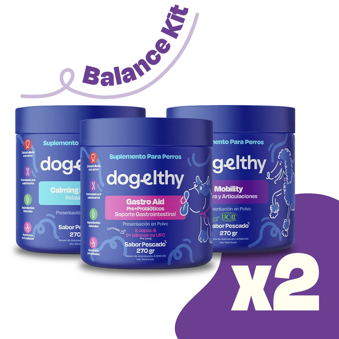 Landing Skin Kit (Plantilla Aprobada) – Dogelthy