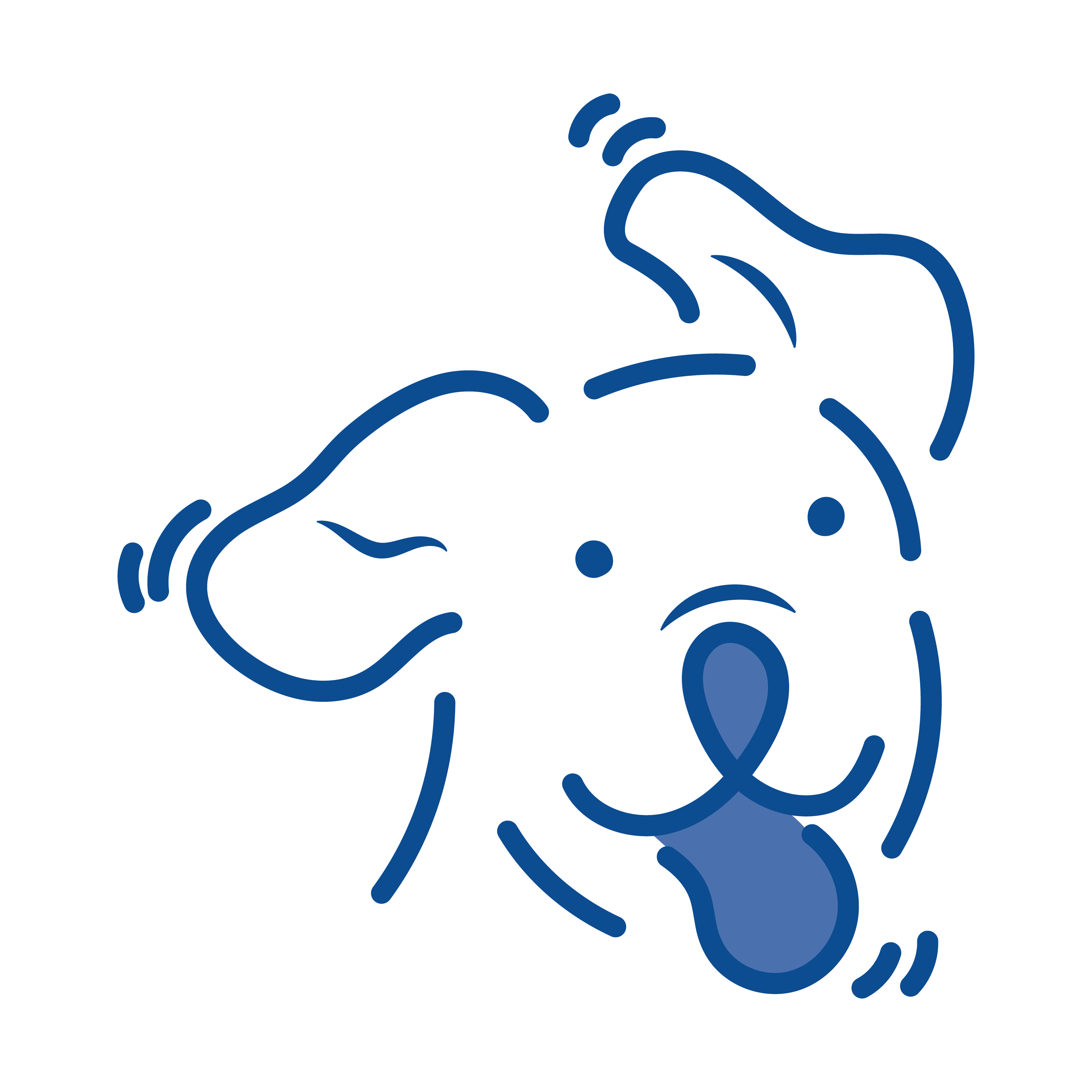 Vitaminas, Suplementos y Aceite de Salmón para Perros | Dogelthy