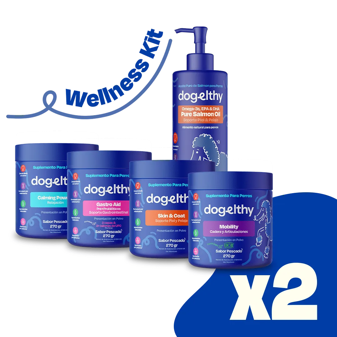 Kit Multivitaminico para Perro - Dogelthy (Wellness Kit)